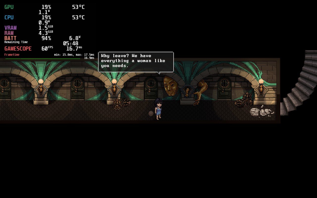 Decarnation - Steam Deck Performance/Settings